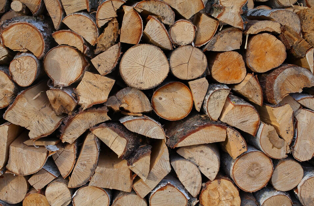 Fuel Your Inner Warrior | LumberJack Nutrients – Strength & Vitality ...